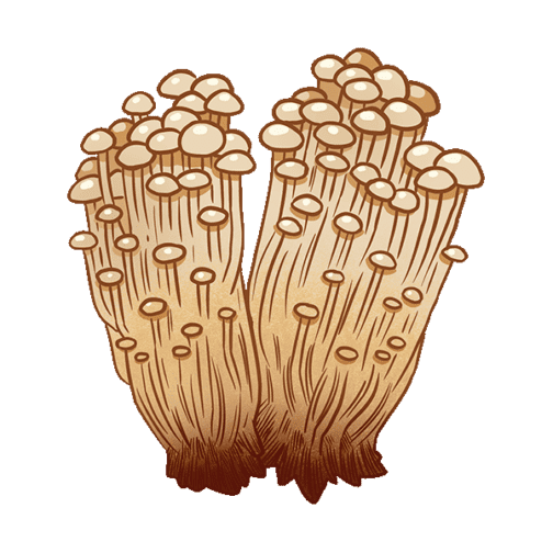 Guide to Enoki Mushrooms | Uwajipedia